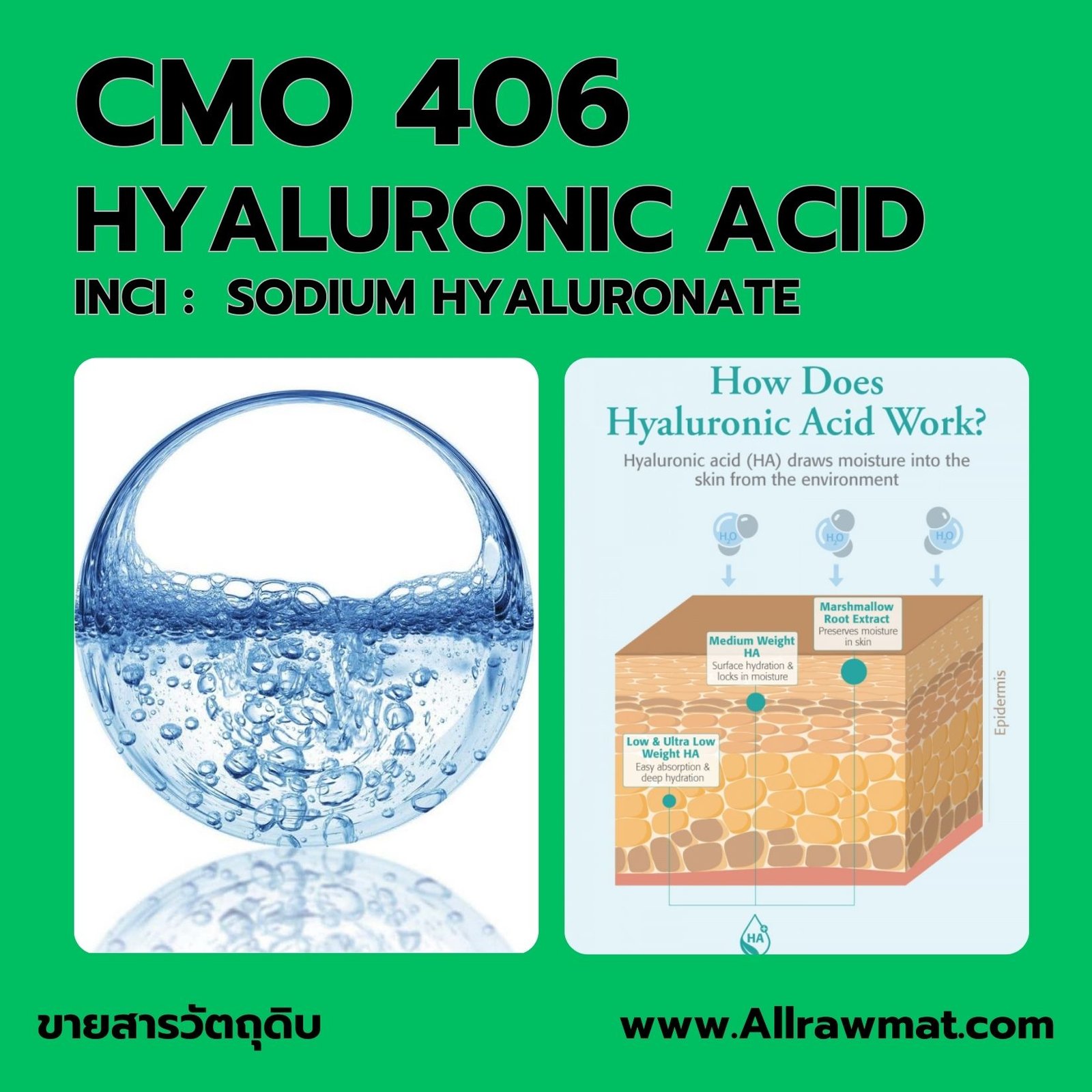 P406 : HYALURONIC ACID - Rawmator สารวัตถุดิบ