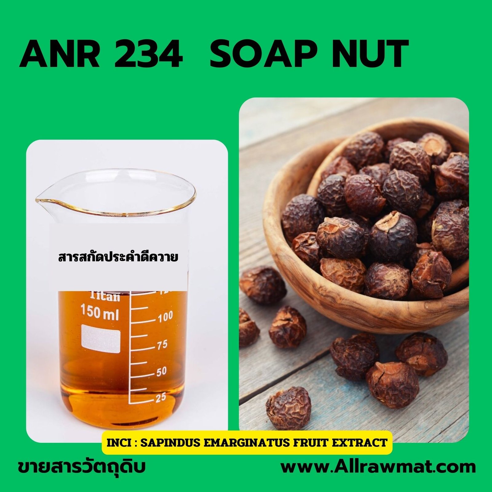 ANR 234 : SOAP NUT - Rawmator สารวัตถุดิบ
