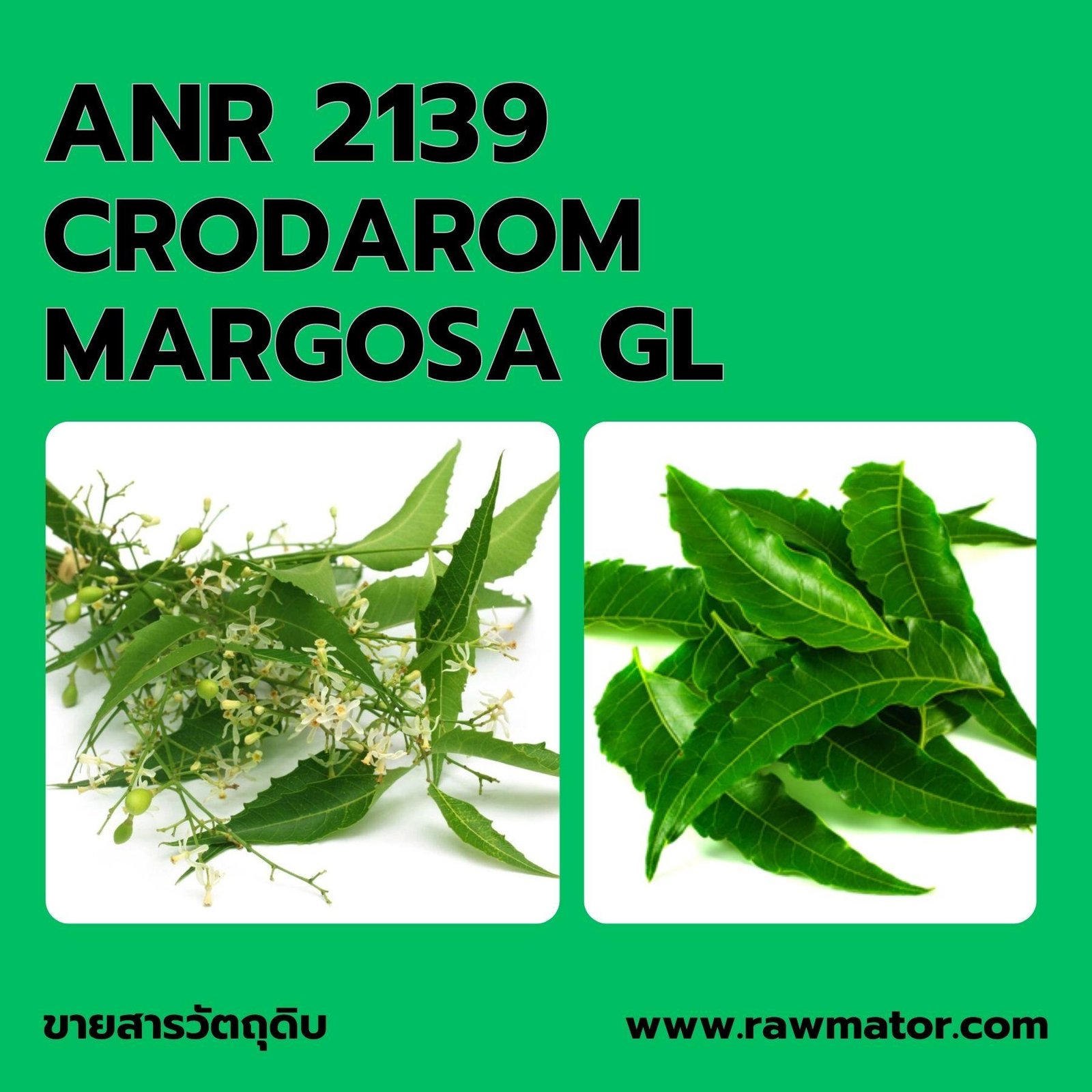 ANR 2139 : CRODAROM MARGOSA GL - Rawmator สารวัตถุดิบ