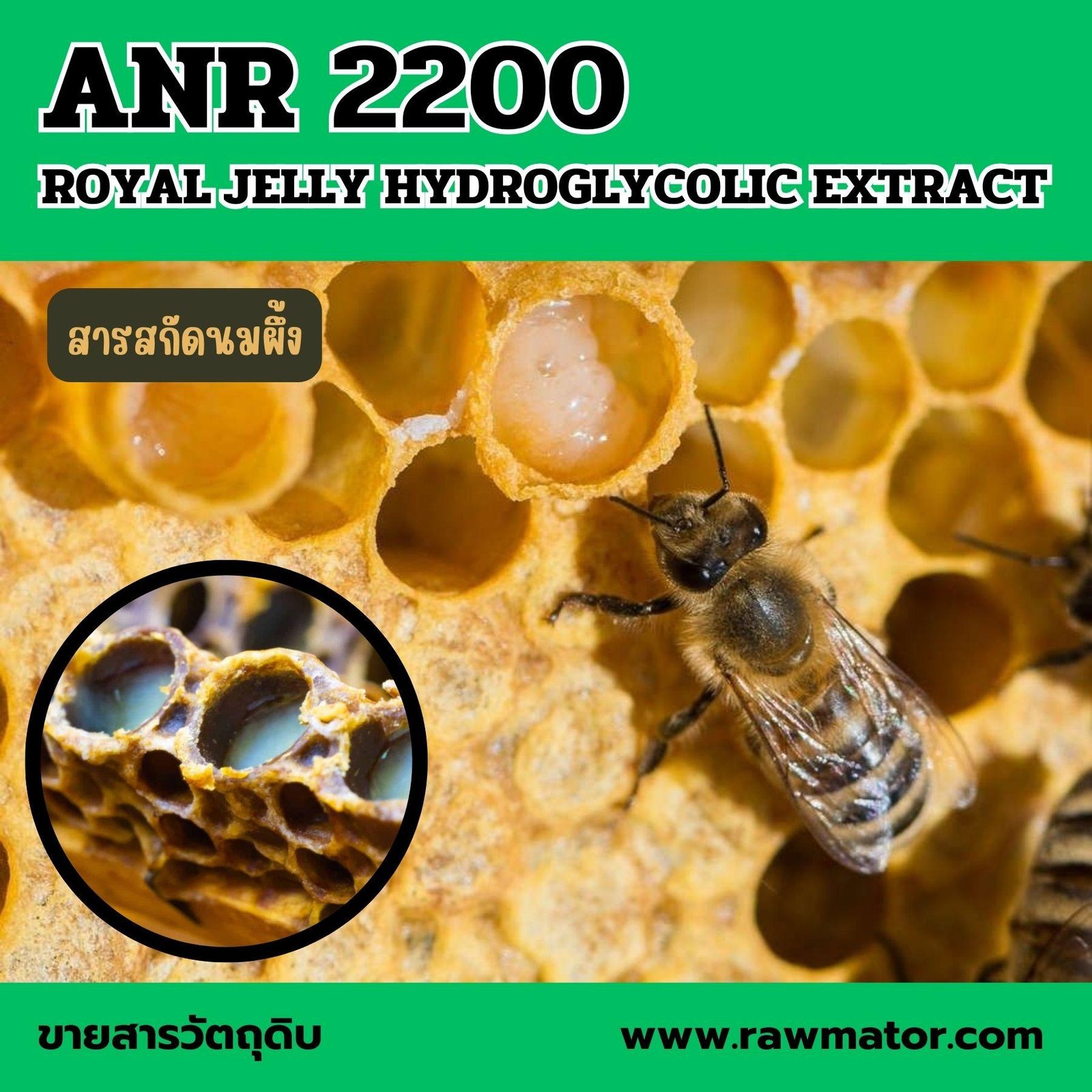 ANR 2200 : ROYAL JELLY HYDROGLYCOLIC EXTRACT สารสกัดนมผึ้ง - Rawmator ...