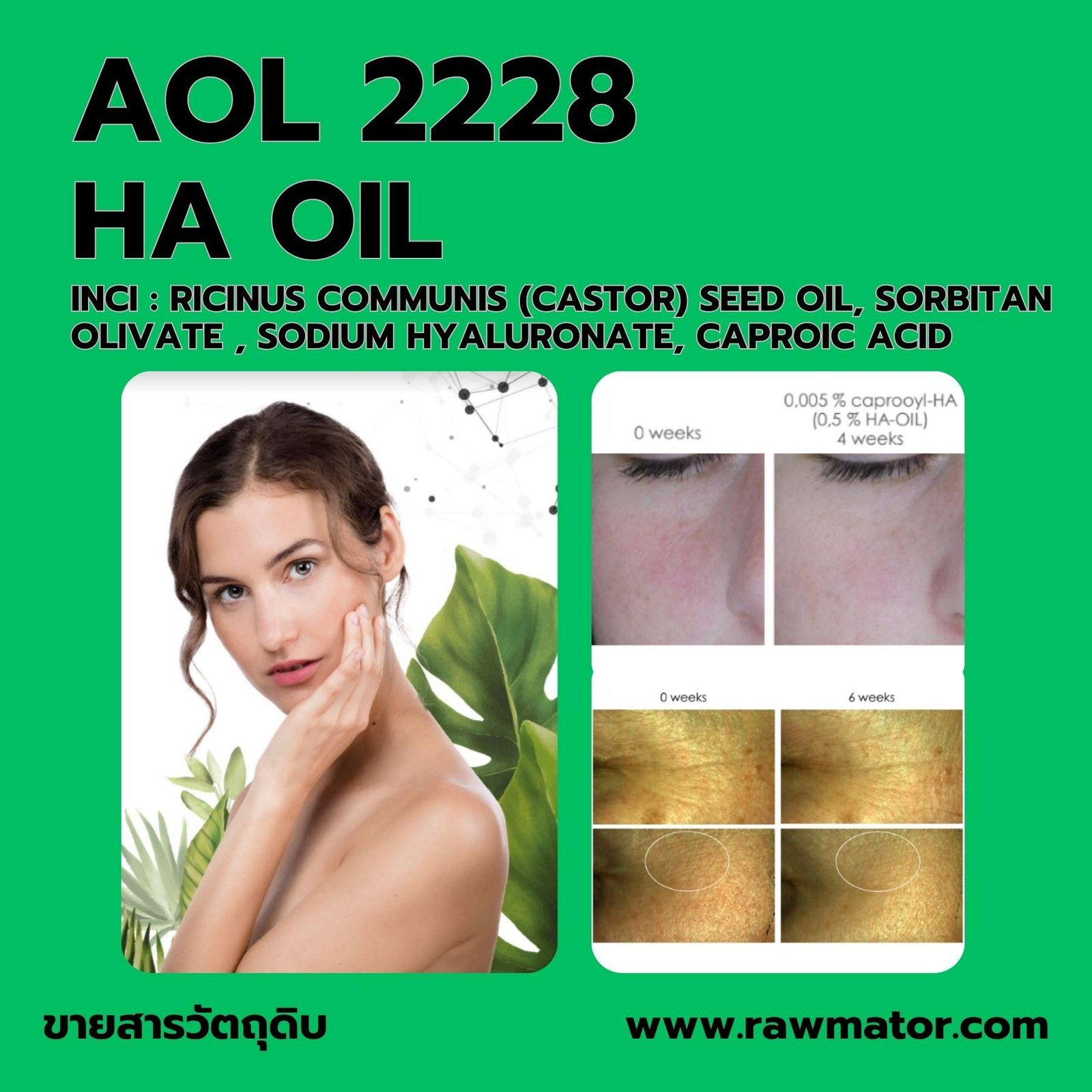 AOL 2228 : HA OIL - Rawmator สารวัตถุดิบ