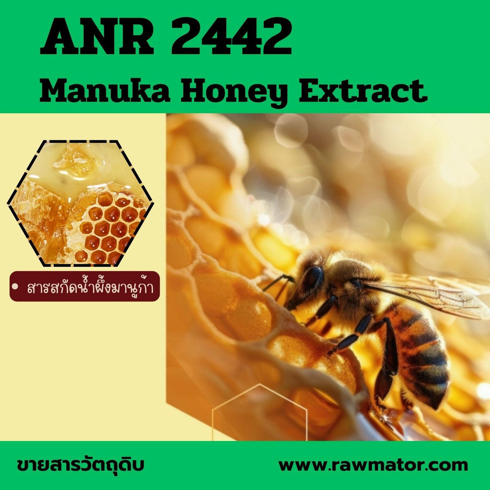 ANR 2442 : Manuka Honey Extract - Rawmator สารวัตถุดิบ